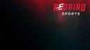 Redbird Esports
