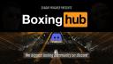 sundaypuncher boxing discord gang