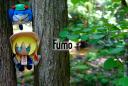Fumo