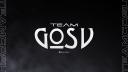 Team Gosu