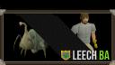 Leech BA