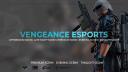 Vengeance Esports