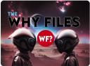 The Why Files Official
