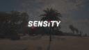 Sensity* - Roleplay