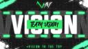 VISION™