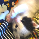 Urbanshade: Hadal Division Discord Server | Discord Invite