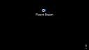 fluent for steam.