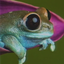 [DFC] Dragonfall Farming Community | Guild Wars 2