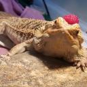 Rust Admin and Moderator Commands – GameKeeper.io