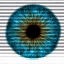 Metropolis Dawn Beta