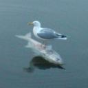 Rust Admin and Moderator Commands – GameKeeper.io